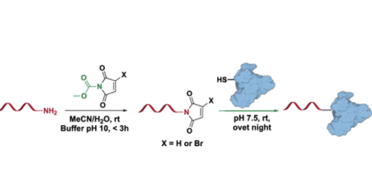 New way to add Maleimide to Oligos - Molecular Engineering Weekly